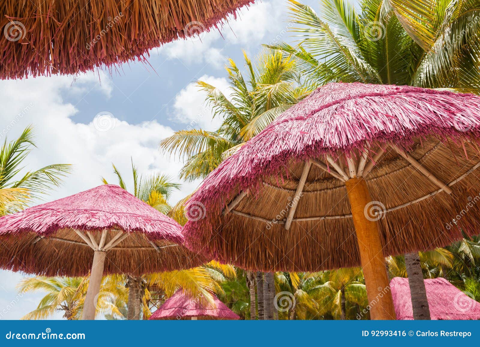 Beach Kiosks stock photo. Image of palmtree, tropical - 92993416