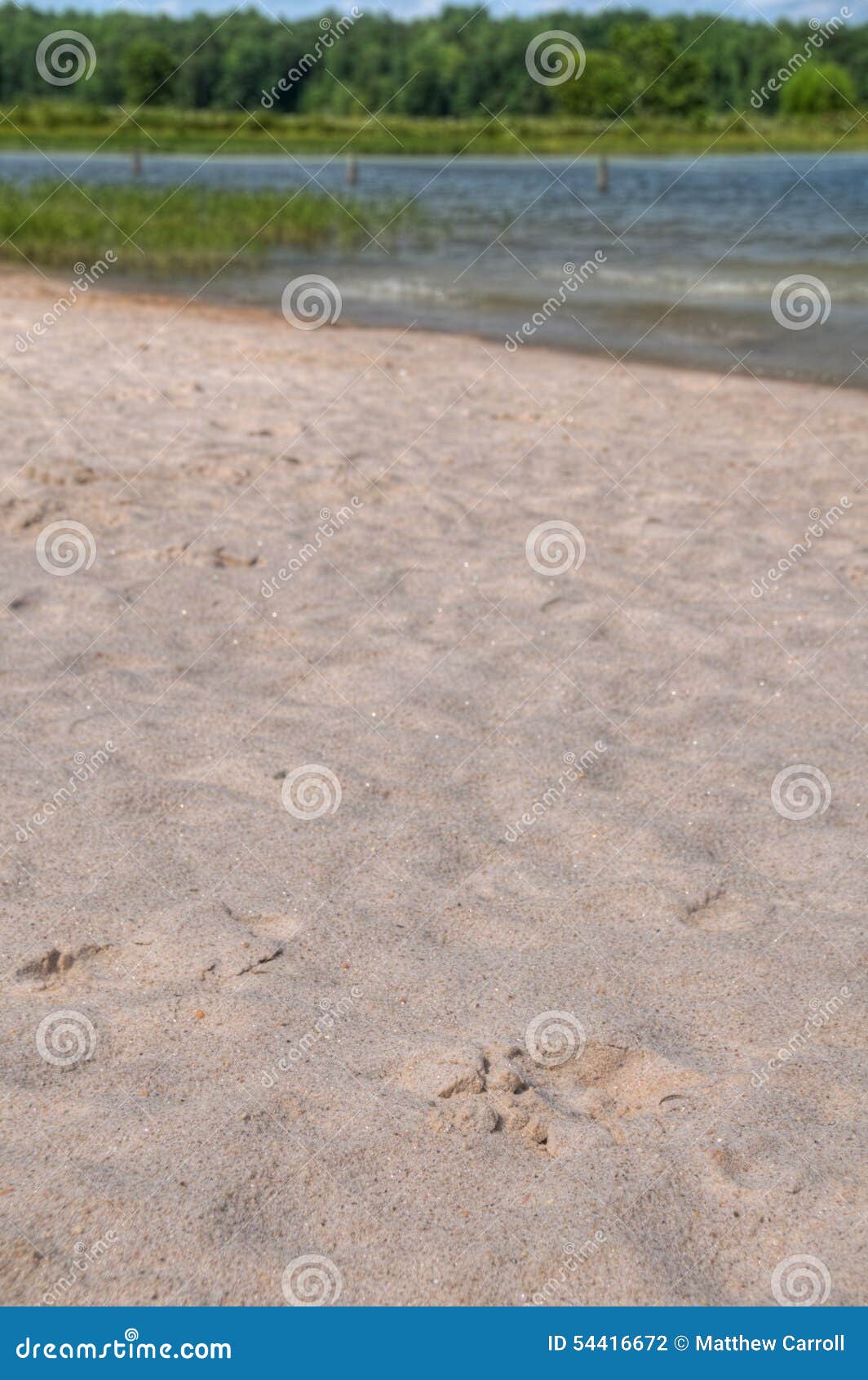 Beach stock photo. Image of beach, virginia, sand, water - 54416672
