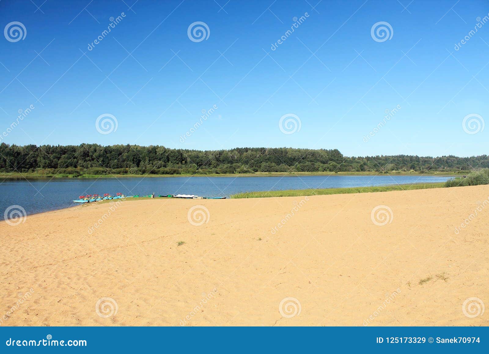 Beach on the lake stock image. Image of summer, swim - 125173329