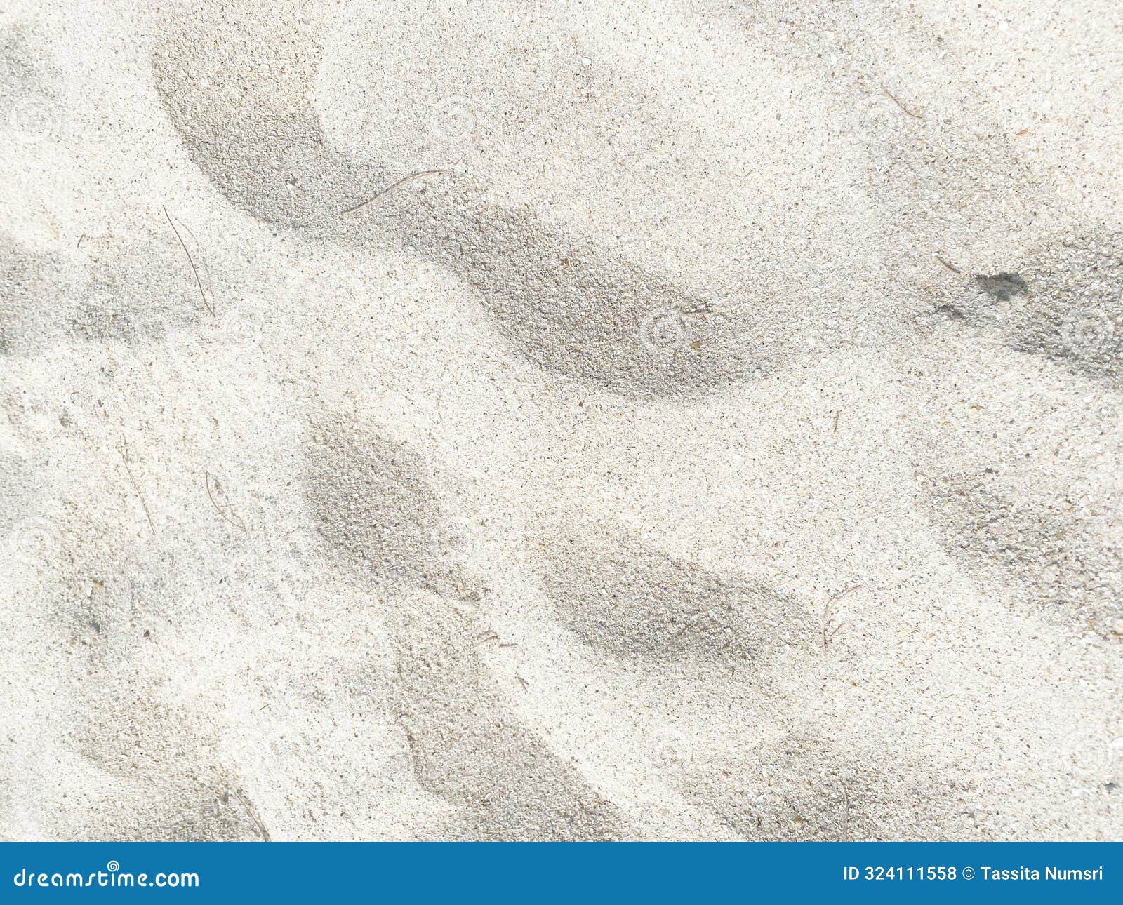 Beach Land Texture Sand Background Stock Photo - Image of grunge ...
