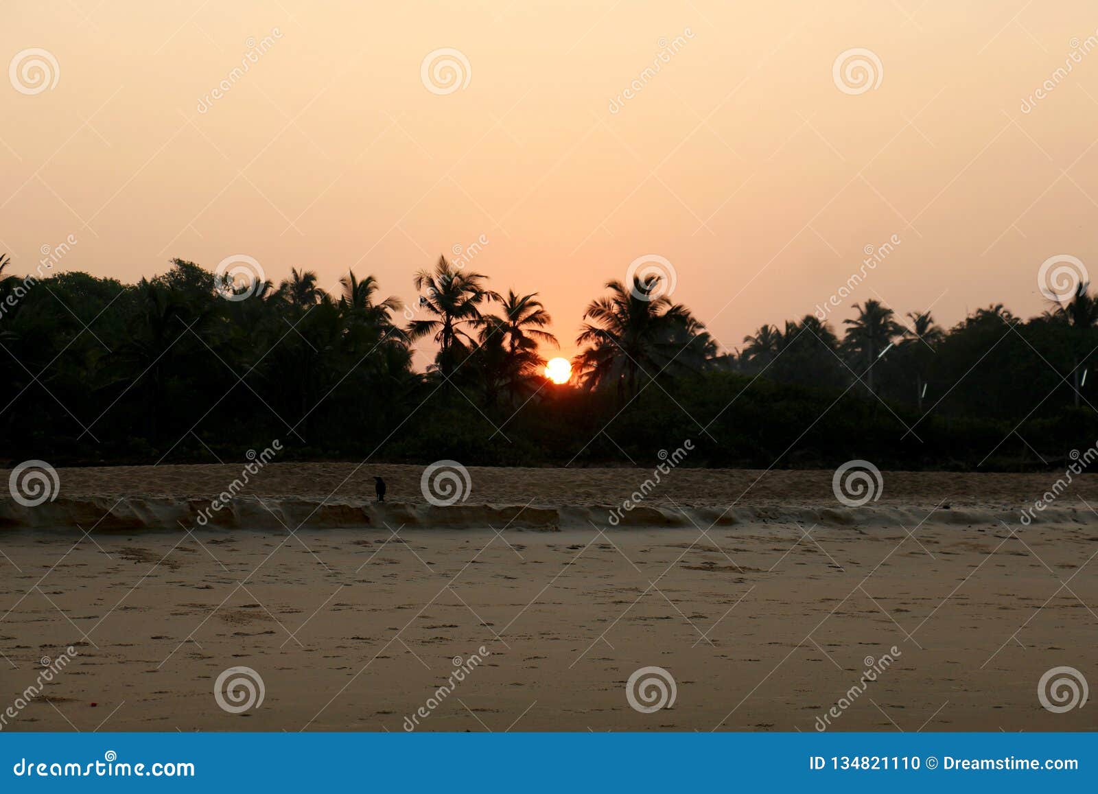 Beautiful Sunrise in India on the Ocean Stock Photo - Image of sand ...