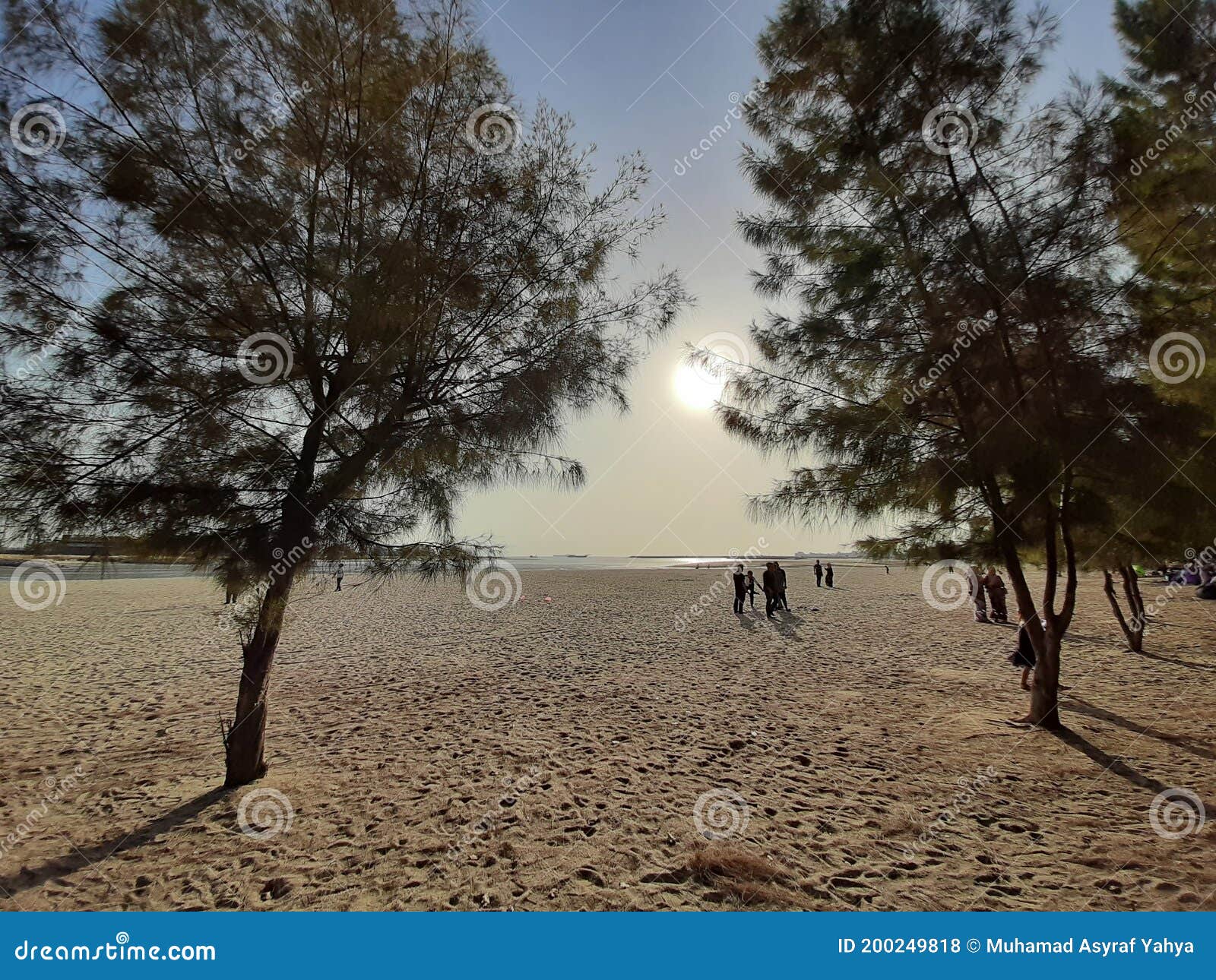 Beach Landscape stock photo. Image of beach, melaka - 200249818