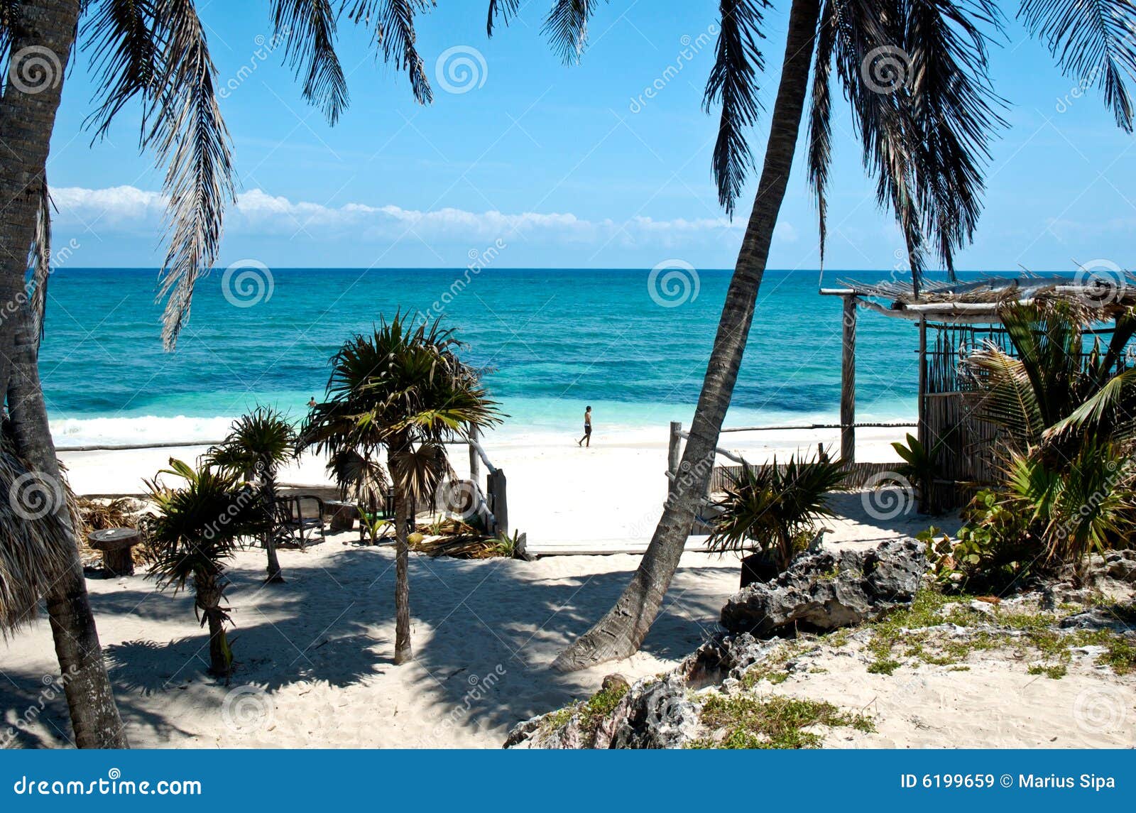 Beach Landscape in Tulum stock image. Image of azure, palm - 6199659