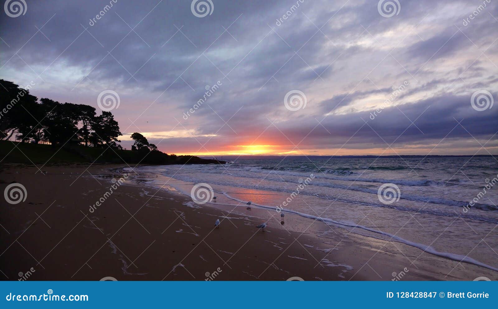 Phillip island stock image. Image of late, island, beach - 128428847