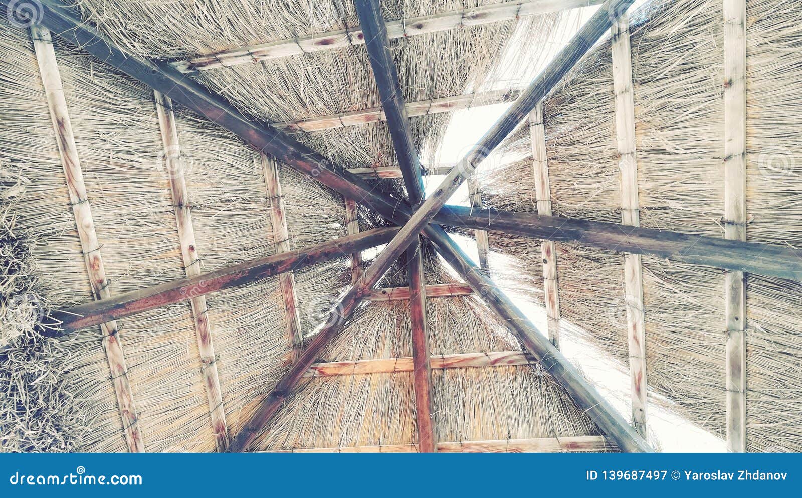 Beach Leaf Canopy Bottom View Stock Image - Image of futuristic ...