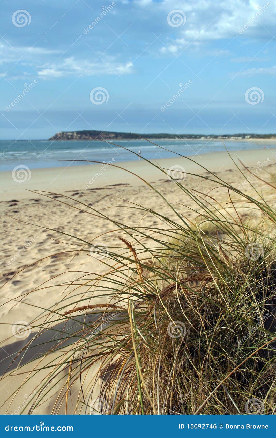 Beach life stock photo. Image of relax, landscape, australian - 15092746