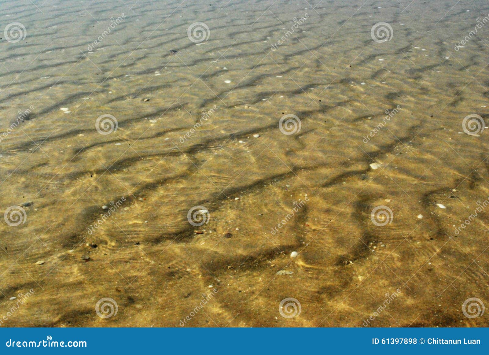 Beach life stock photo. Image of coral, texture, landscapes - 61397898