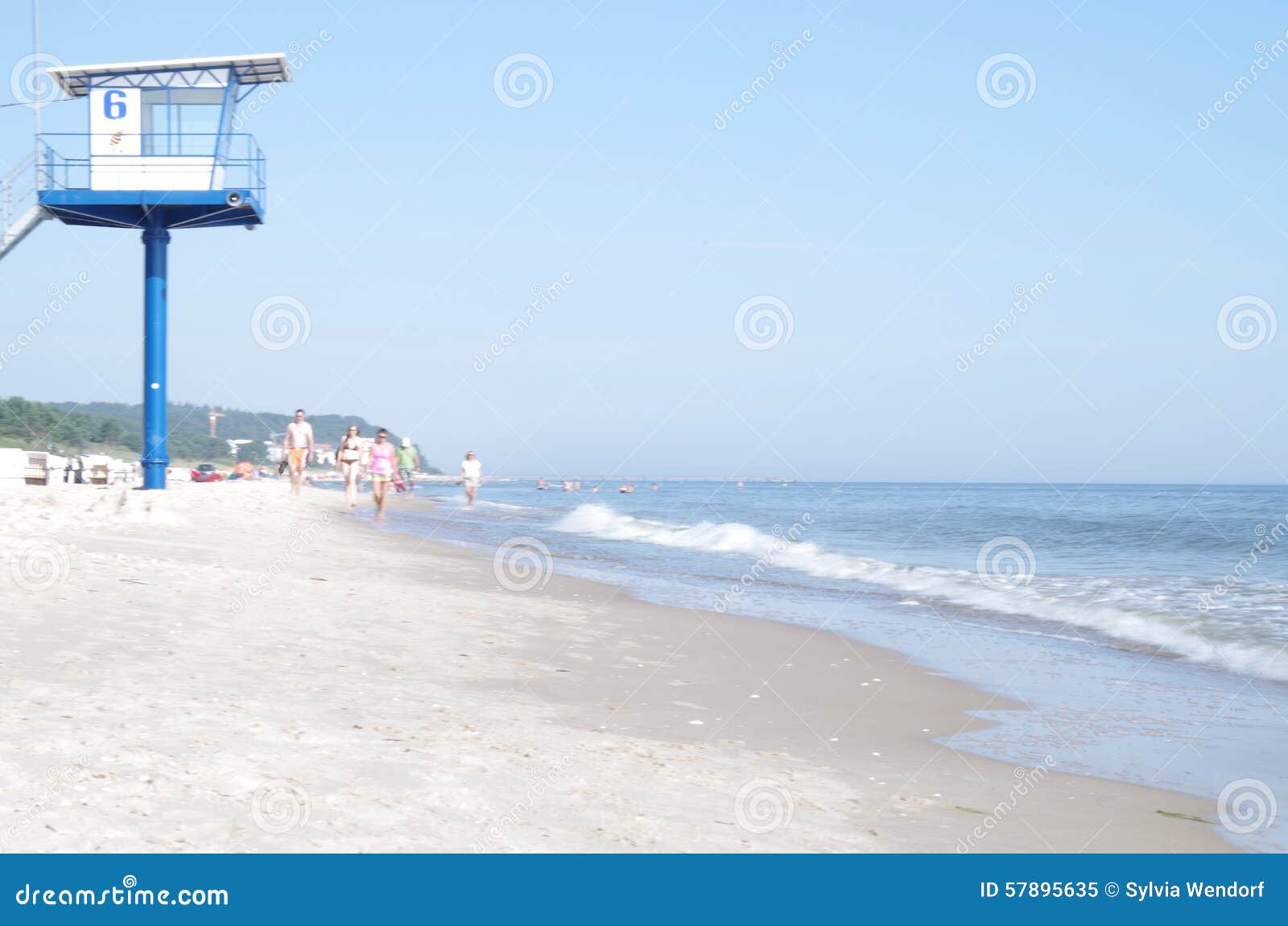 Beach Life at the Baltic Sea Stock Image - Image of bird, life: 57895635