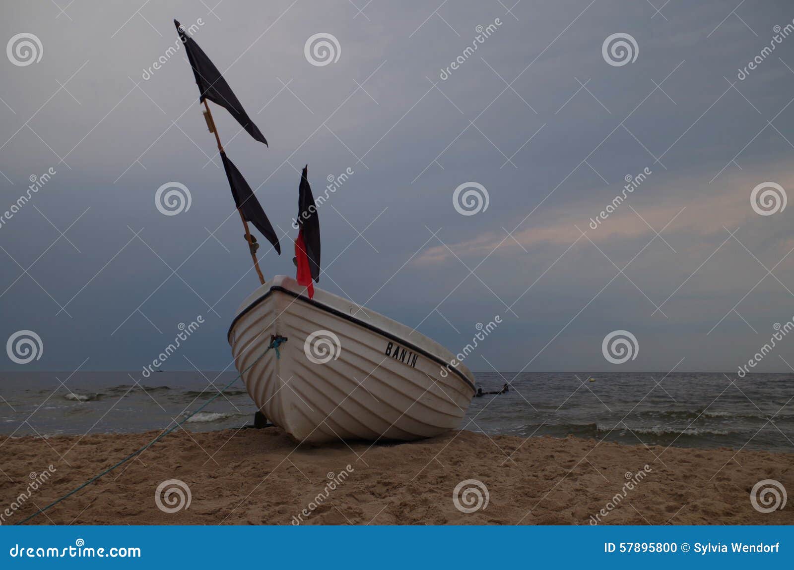 Beach Life at the Baltic Sea Stock Photo - Image of bird, europe: 57895800