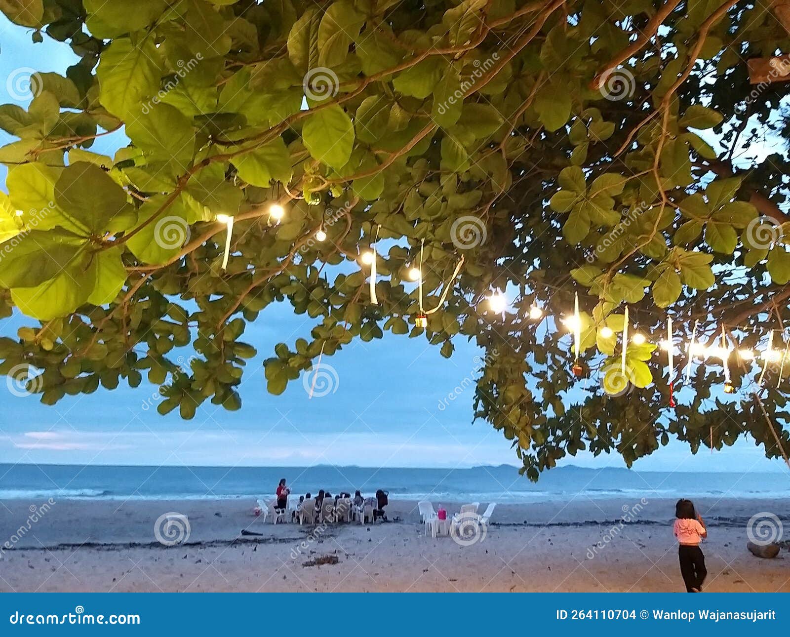 The Beach Light Sea stock photo. Image of beach, shore - 264110704