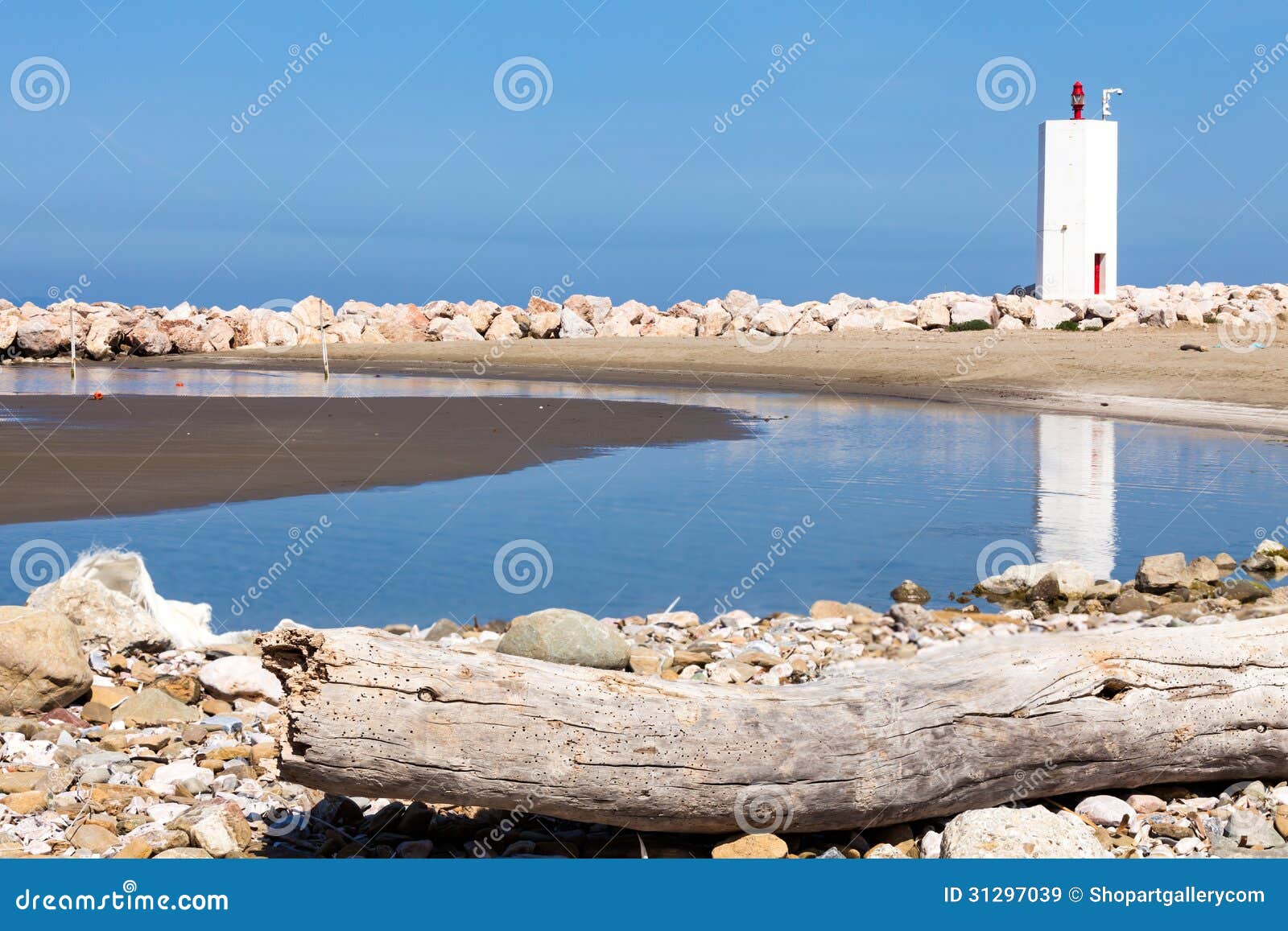 Beach with Lighthouse, Tuscany Stock Image - Image of tree, shore: 31297039