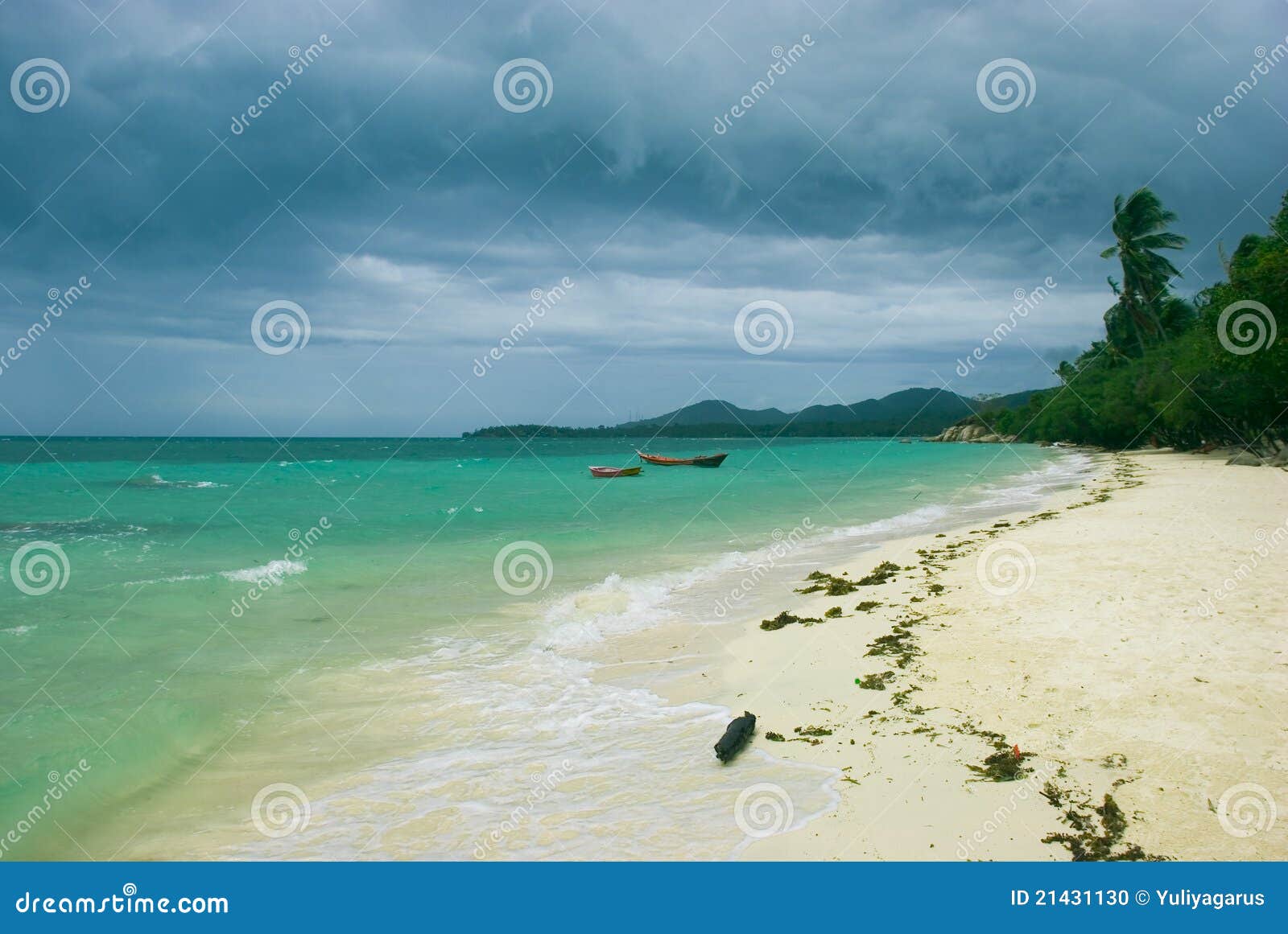 Beach line stock photo. Image of vacation, summer, dream - 21431130