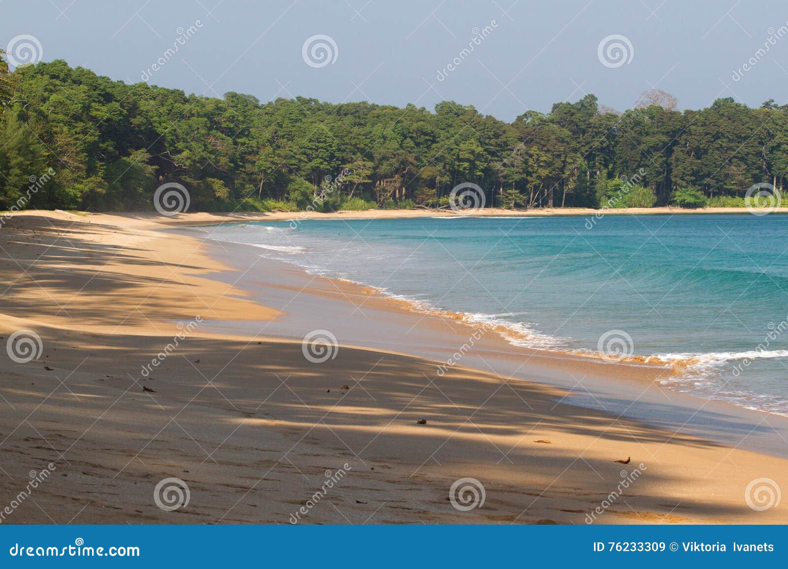 Beach Line Indian Ocean. Sand, Tree, Forest. Clean Lagoon Stock Image ...