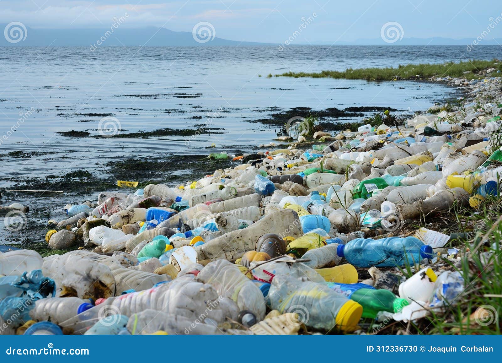 A Beach Littered with Plastic Trash, Polluting the Ocean and Harming ...
