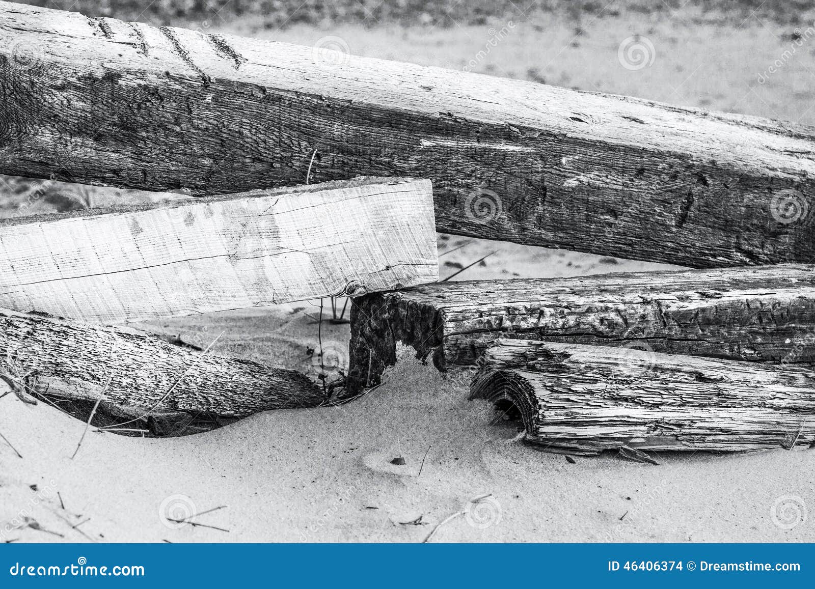 Beach Logs stock photo. Image of beach, wood, black, white - 46406374