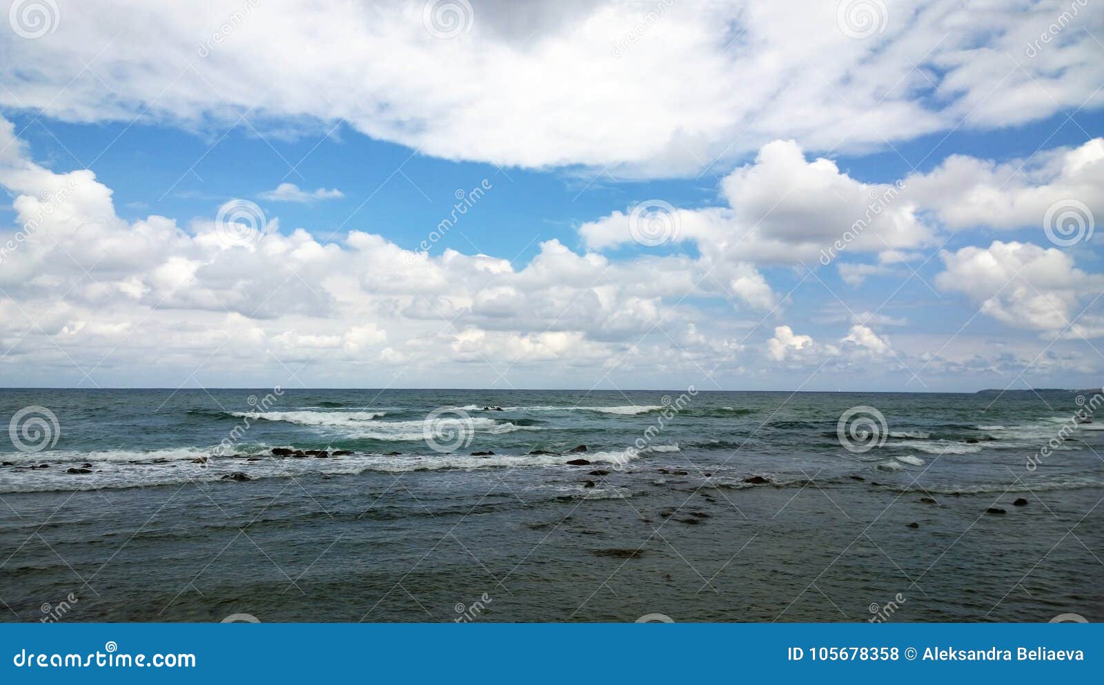 Beach With Lots Of Coconut Foot, Incredibly Beautiful Place, A Perfect ...