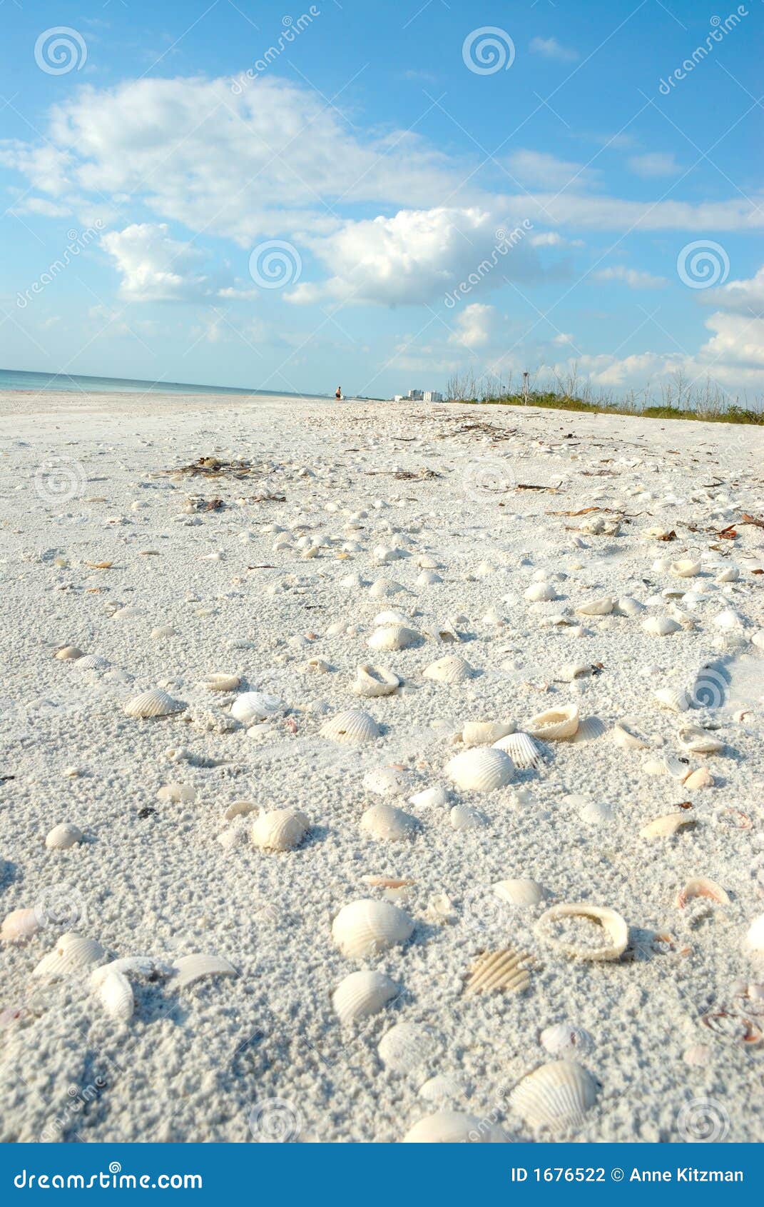 Beach at Lovers Key Florida USA Stock Photo - Image of lovers ...