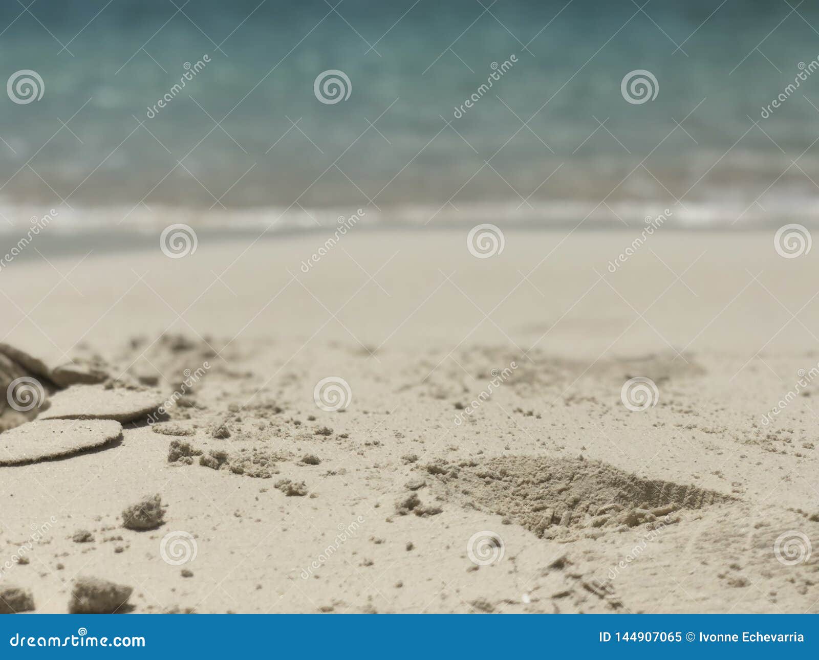 Beach stock image. Image of lowangle, island, sand, closeup - 144907065