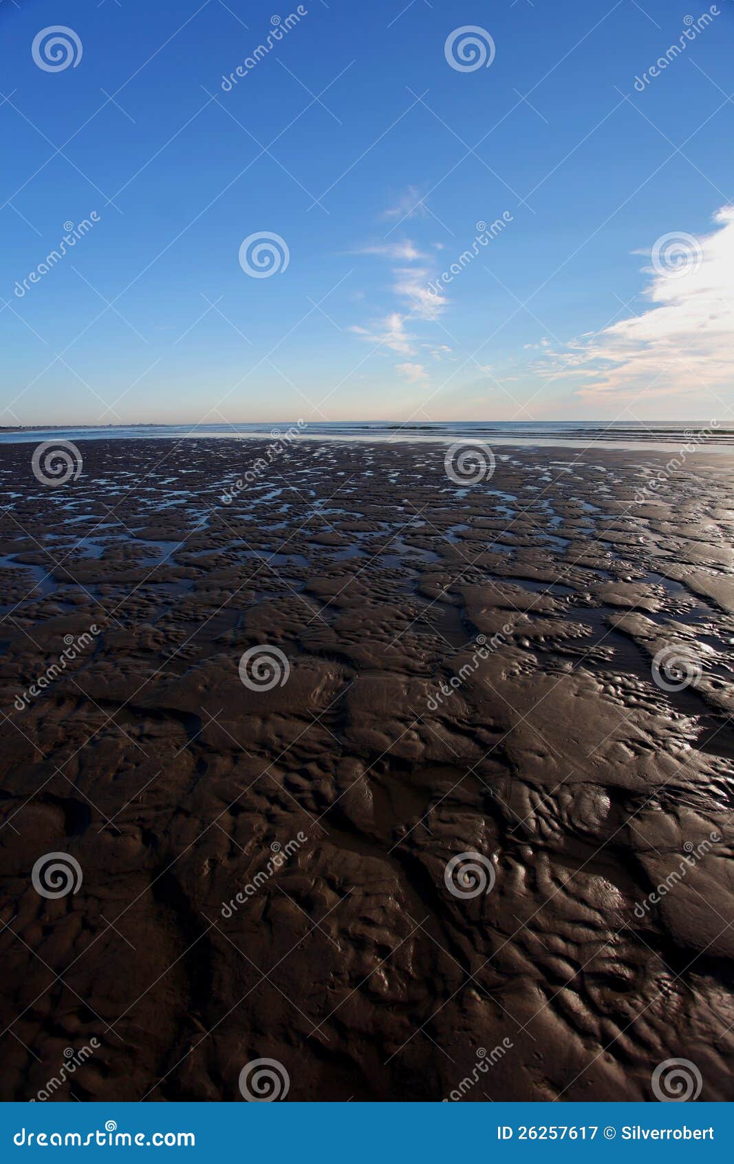 A beach at low tide. stock image. Image of ogunquit, lifestyle - 26257617