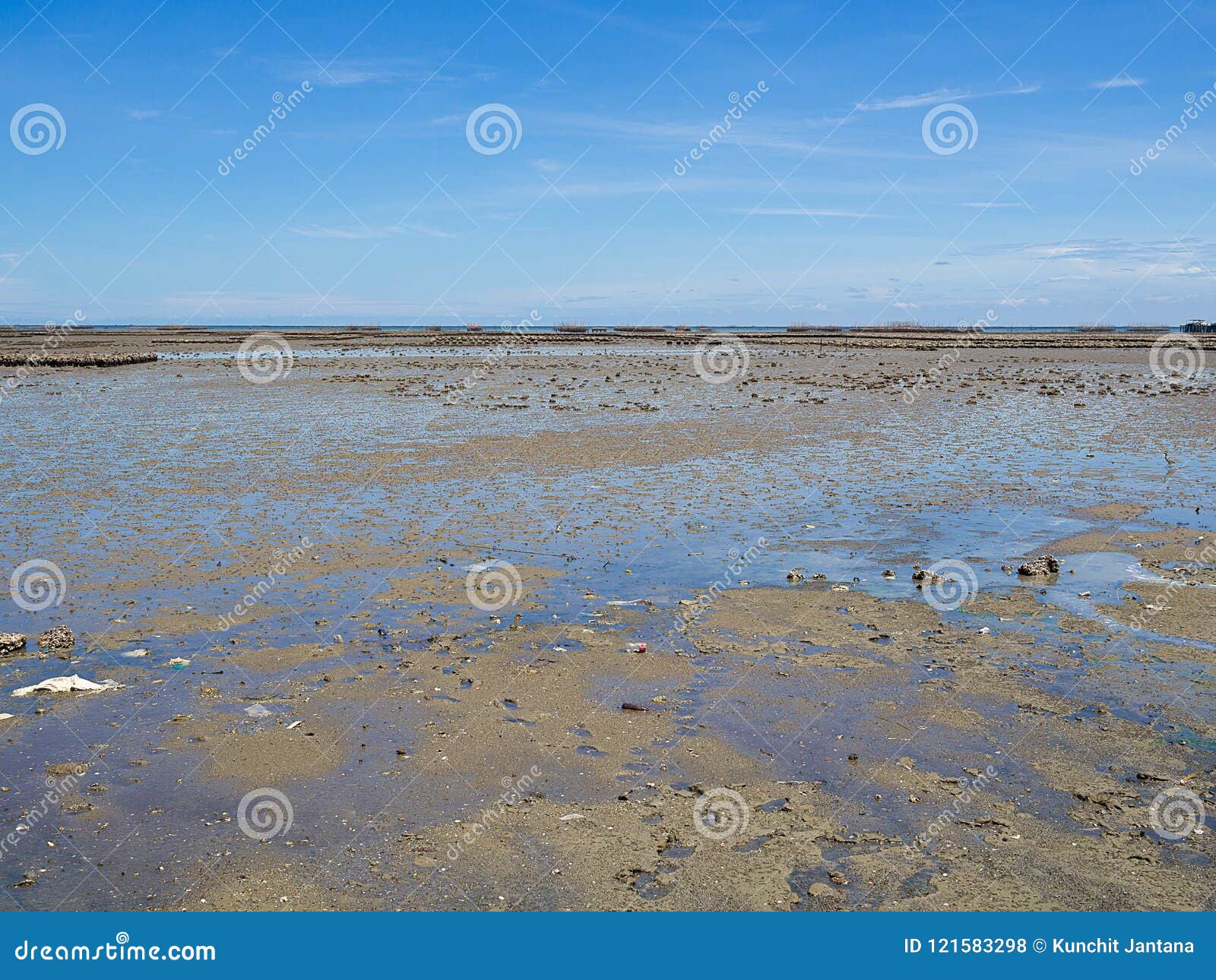 The beach during low tide. stock photo. Image of close - 121583298