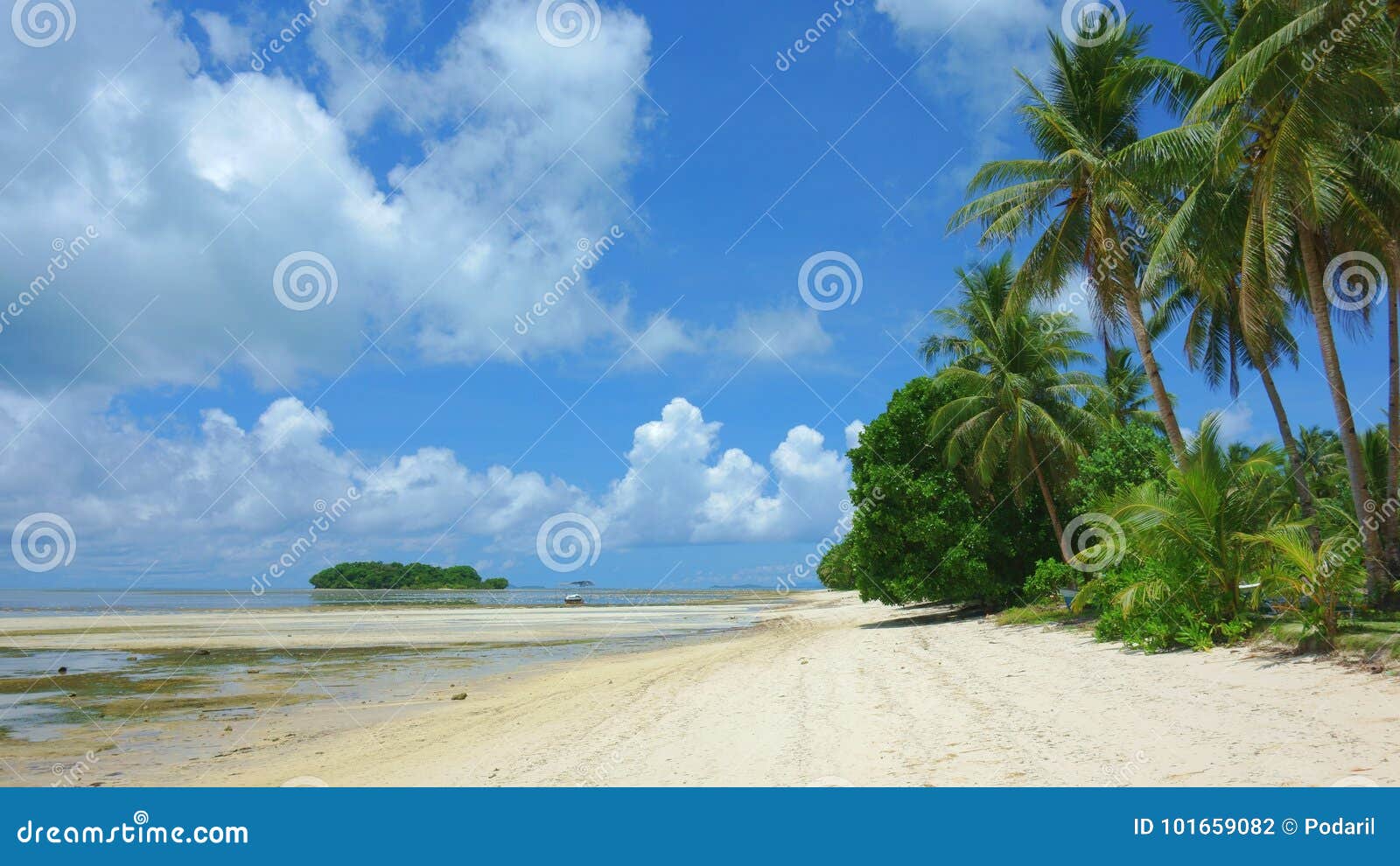 Beach at low tide stock photo. Image of scenery, sandy - 101659082