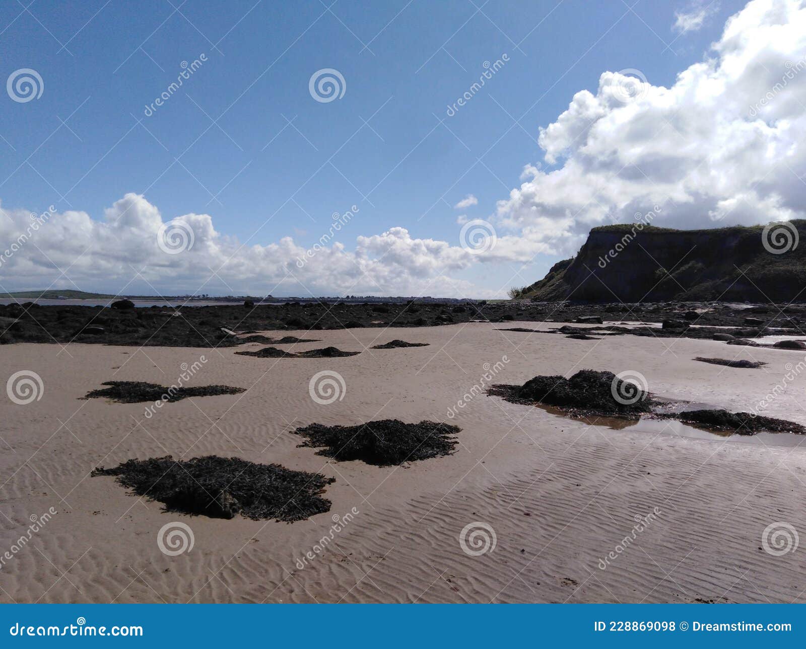 Beach after low water stock photo. Image of sand, landscape - 228869098