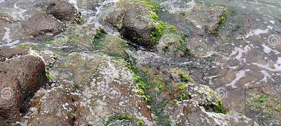 Beach lumut stone stock image. Image of beach, boulder - 228224503