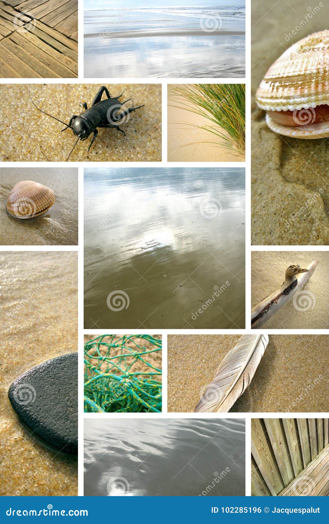 On the beach stock photo. Image of collage, walking - 102285196