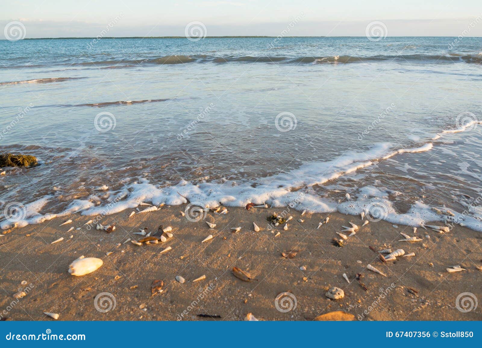 Beach with Many Shells and Waves Stock Photo - Image of marine, island ...