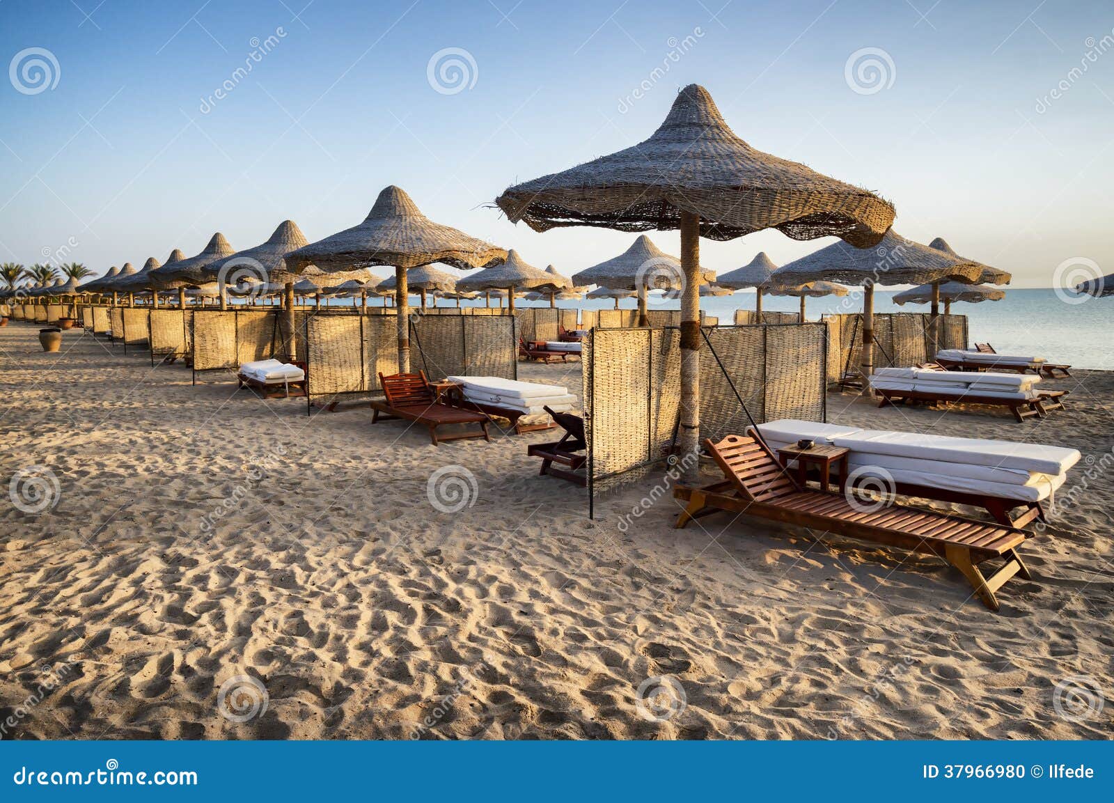 Beach in Marsa Alam, Egypt stock photo. Image of alam - 37966980