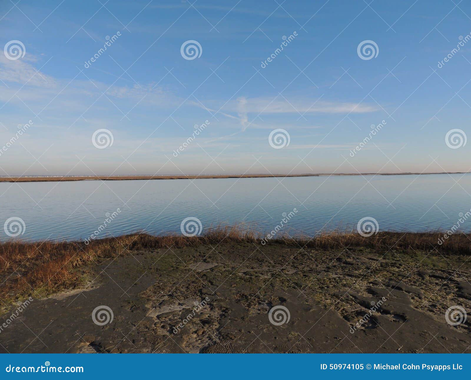 Beach marsh stock image. Image of beach, tide, marsh - 50974105