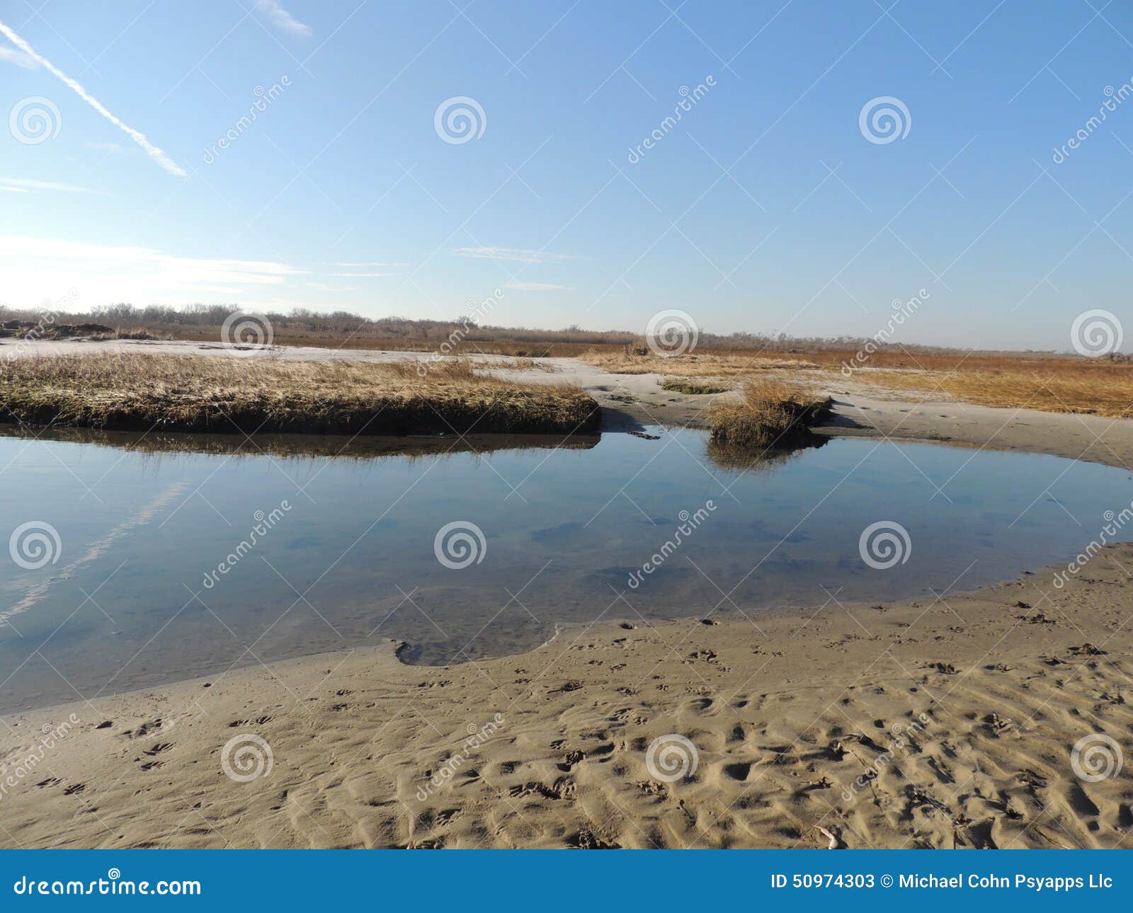 Beach marsh stock image. Image of beach, sand, water - 50974303