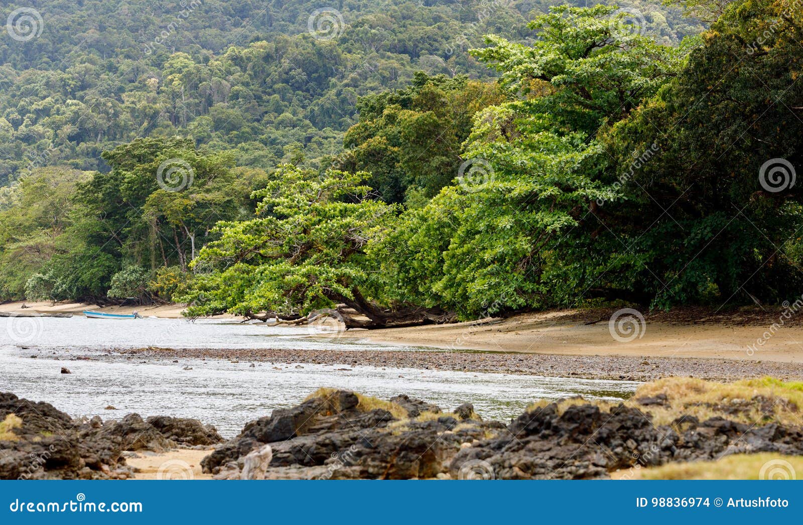Beach in Masoala Forest Reserve, Madagascar Stock Photo - Image of ...