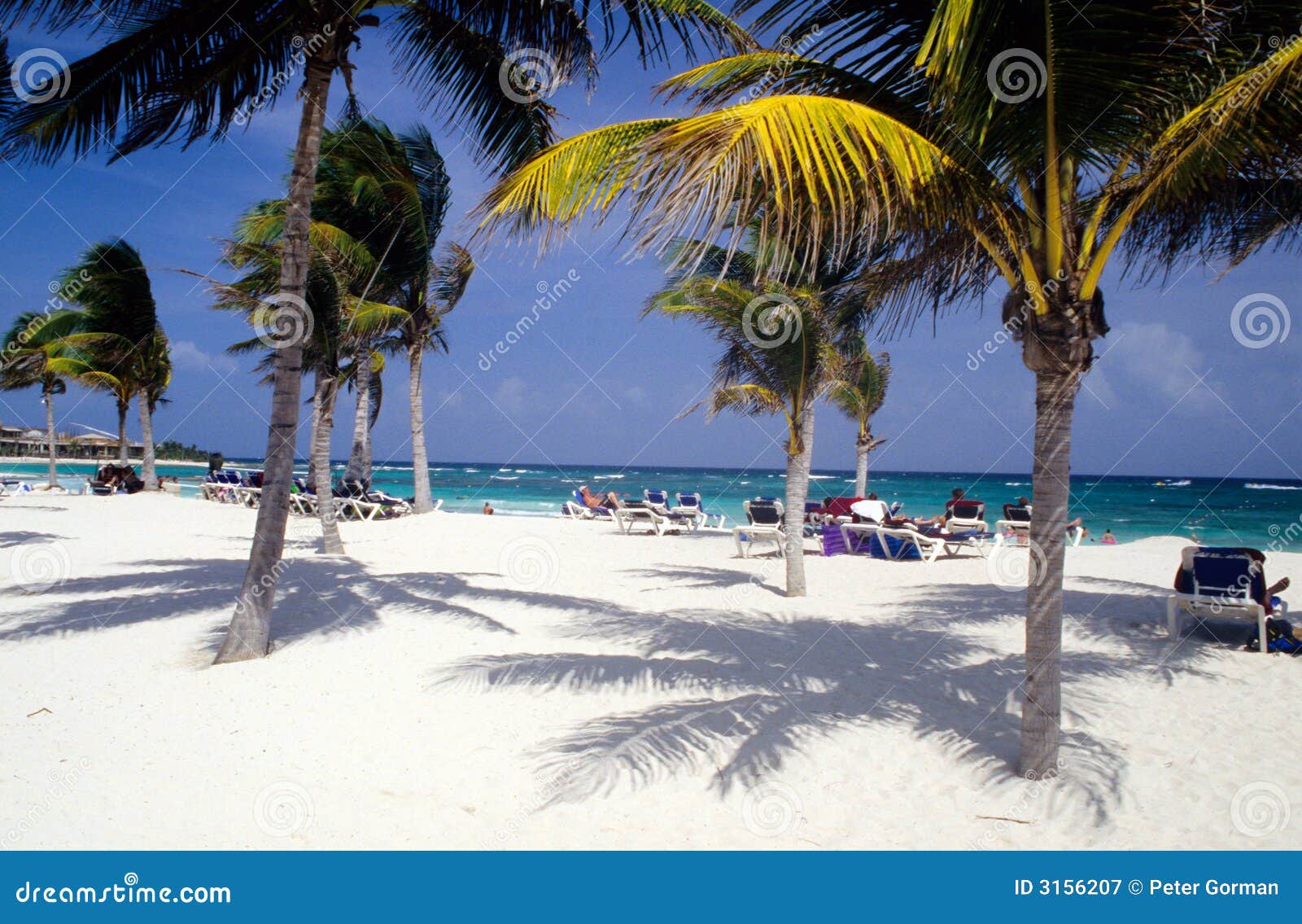 Beach on the Mayan Riviera stock image. Image of sand - 3156207