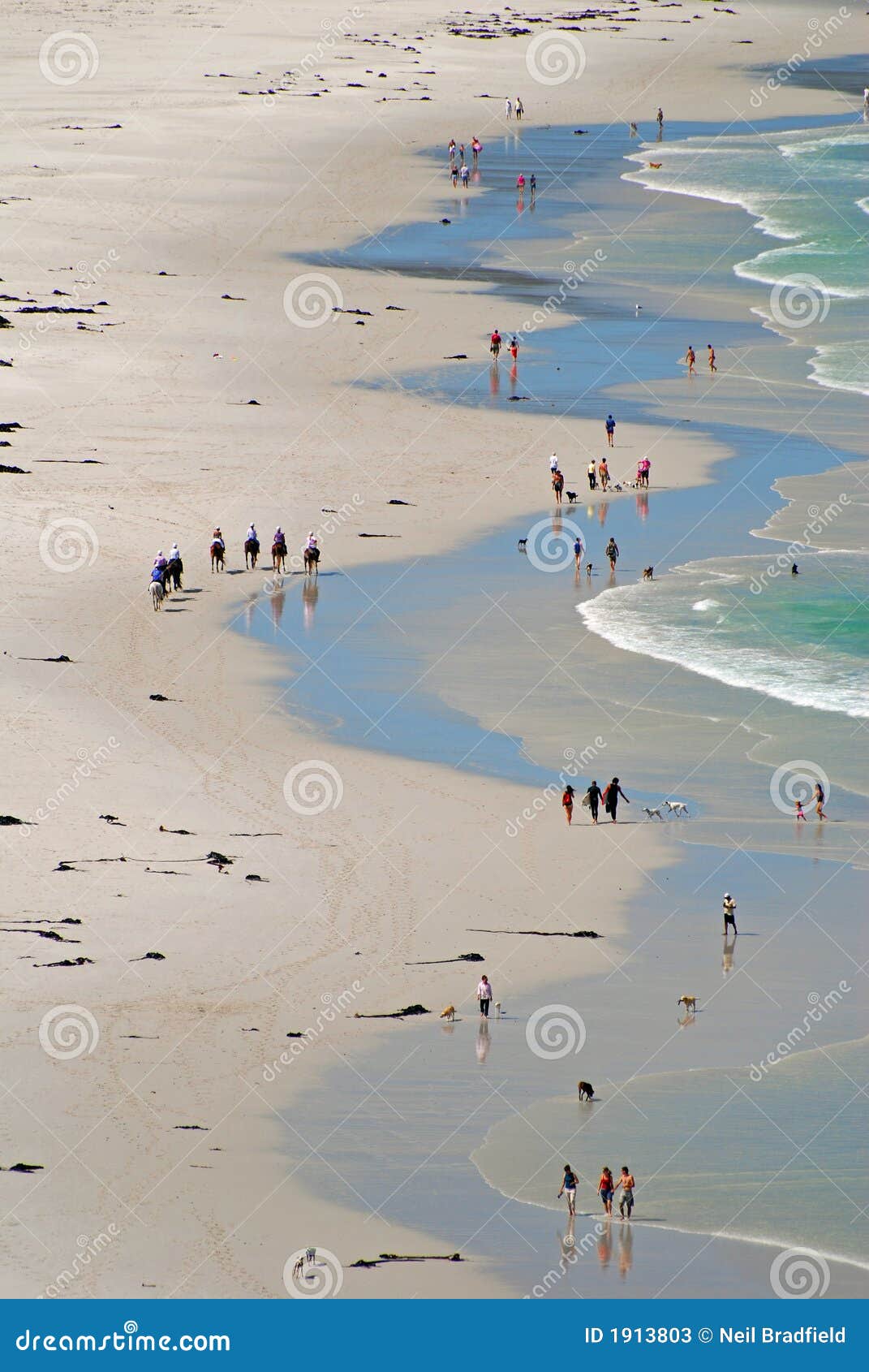 Beach meander stock image. Image of edge, diversity, noordhoek - 1913803