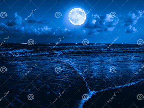 Beach at Midnight with a Full Moon Stock Image - Image of blue, gloomy ...