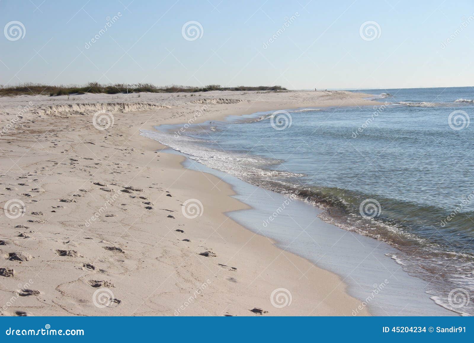 Beach morning stock photo. Image of sand, florida, water - 45204234