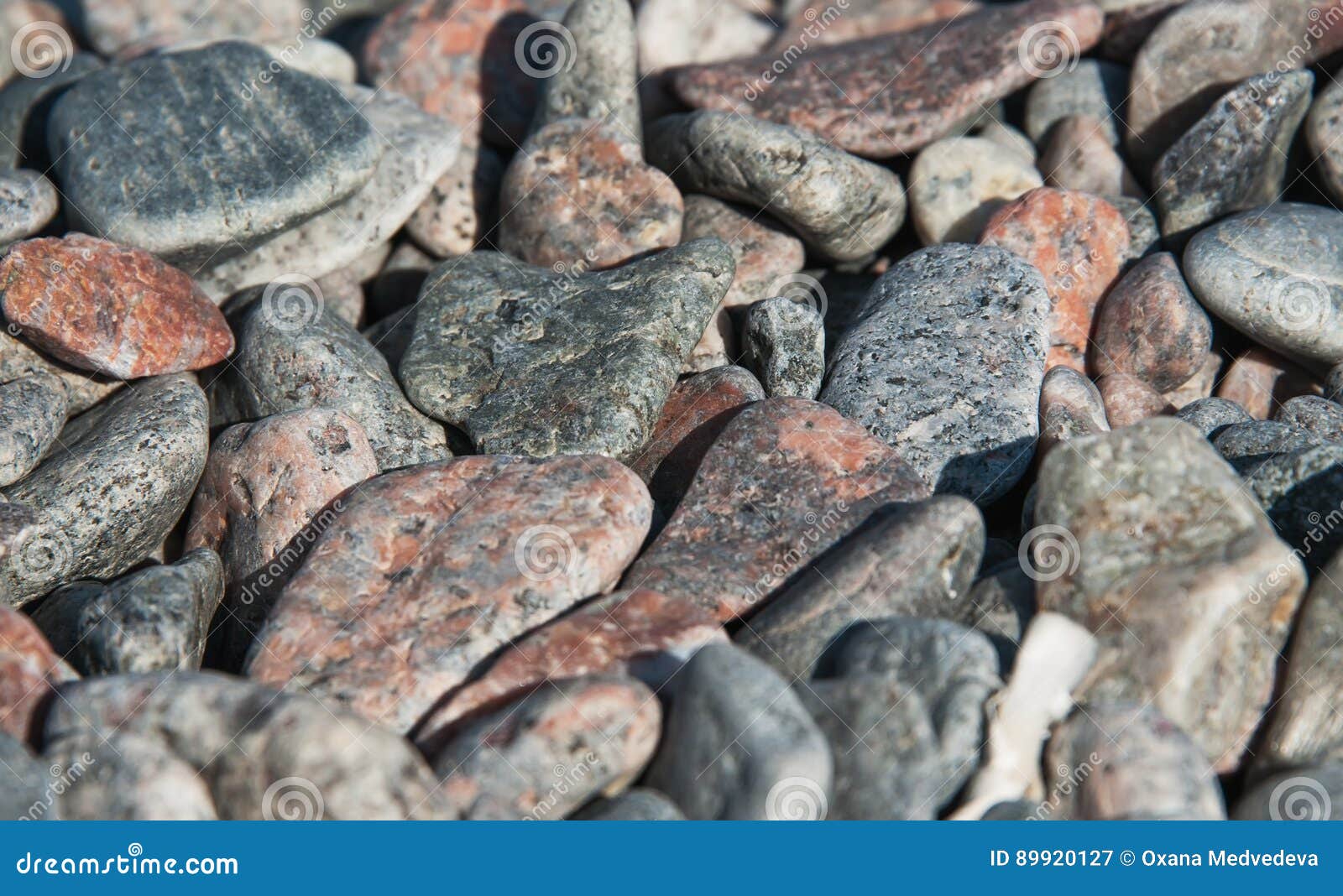 Beach of Multi-colored Stones Abstract Background Selective Focus Stock ...