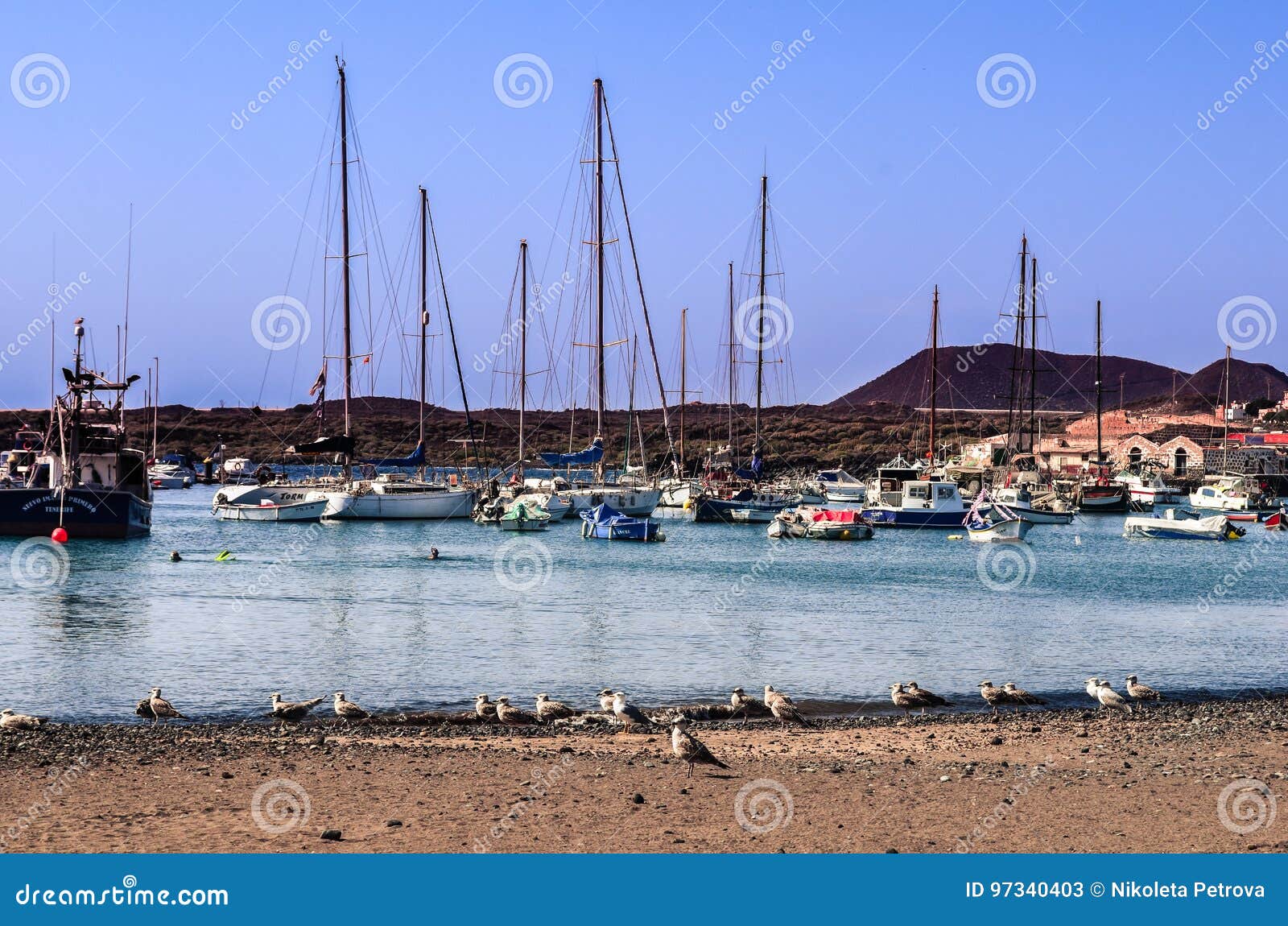 Small Port Island Isabela Galapagos Islands Editorial Image ...