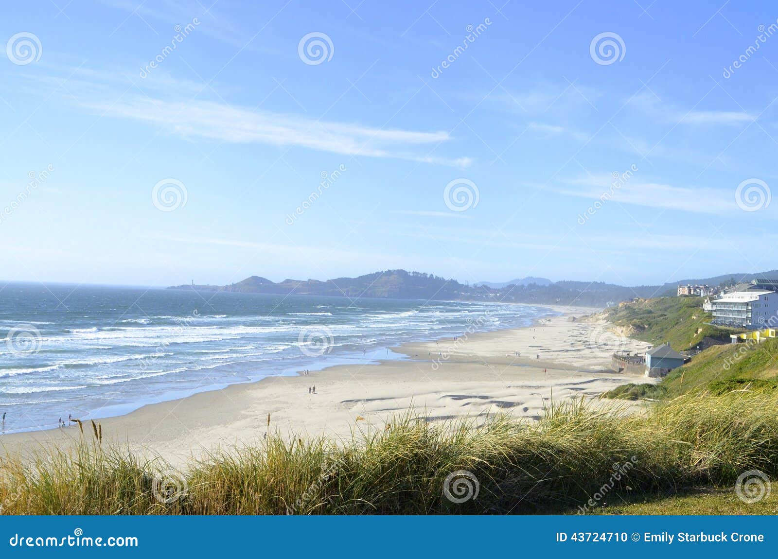 The Beach and Coast in Newport, Oregon Stock Photo - Image of coastal ...