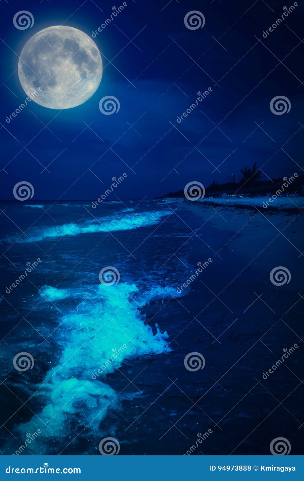 Beach at Night with a Brigh Full Moon Stock Photo - Image of attraction ...