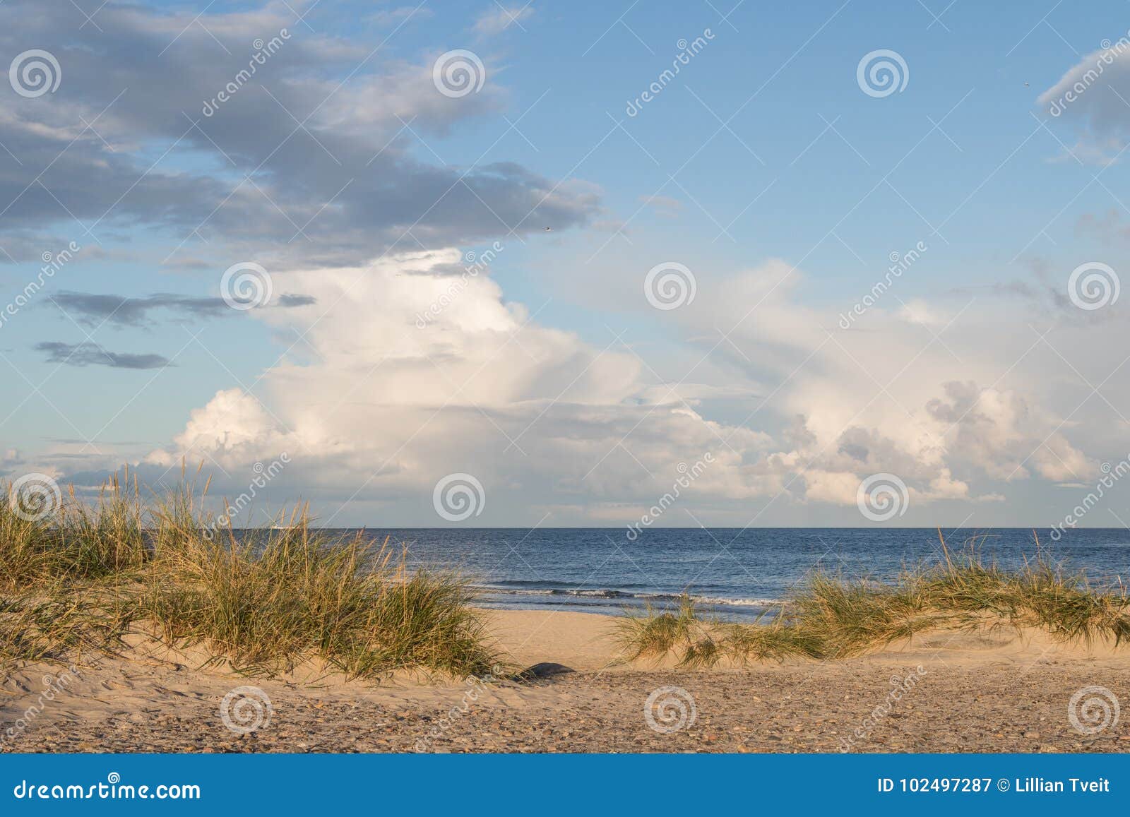 Beach, Ocean and Blue Sky with Clouds at Grenen Skagen in Denmark Stock ...