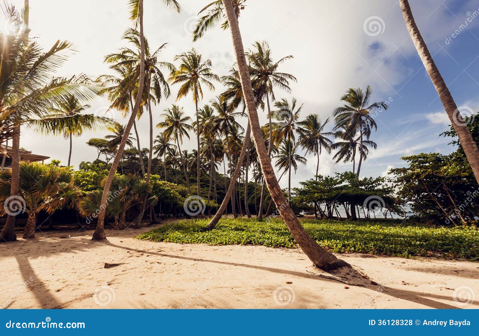 Beach and Ocean, Dominican Republic Stock Photo - Image of scenery ...