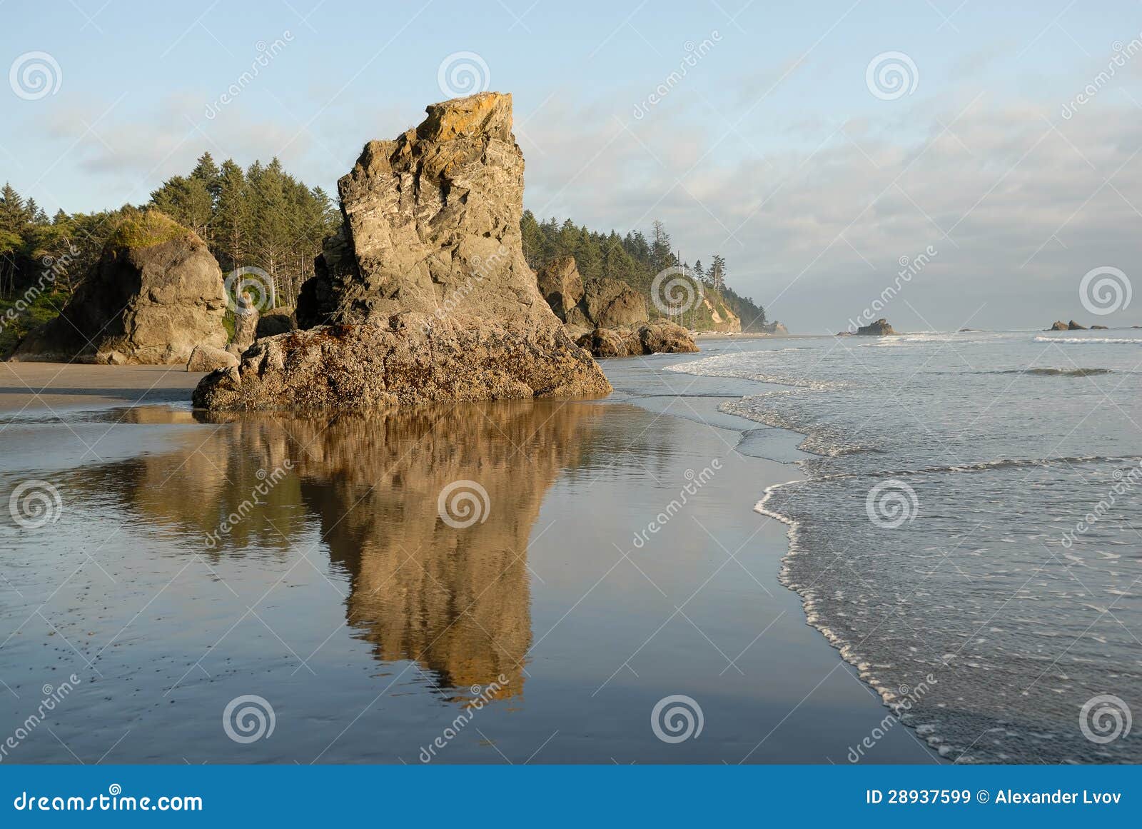 Beach of Olympic Coast,Washington, USA Stock Image - Image of rugged ...