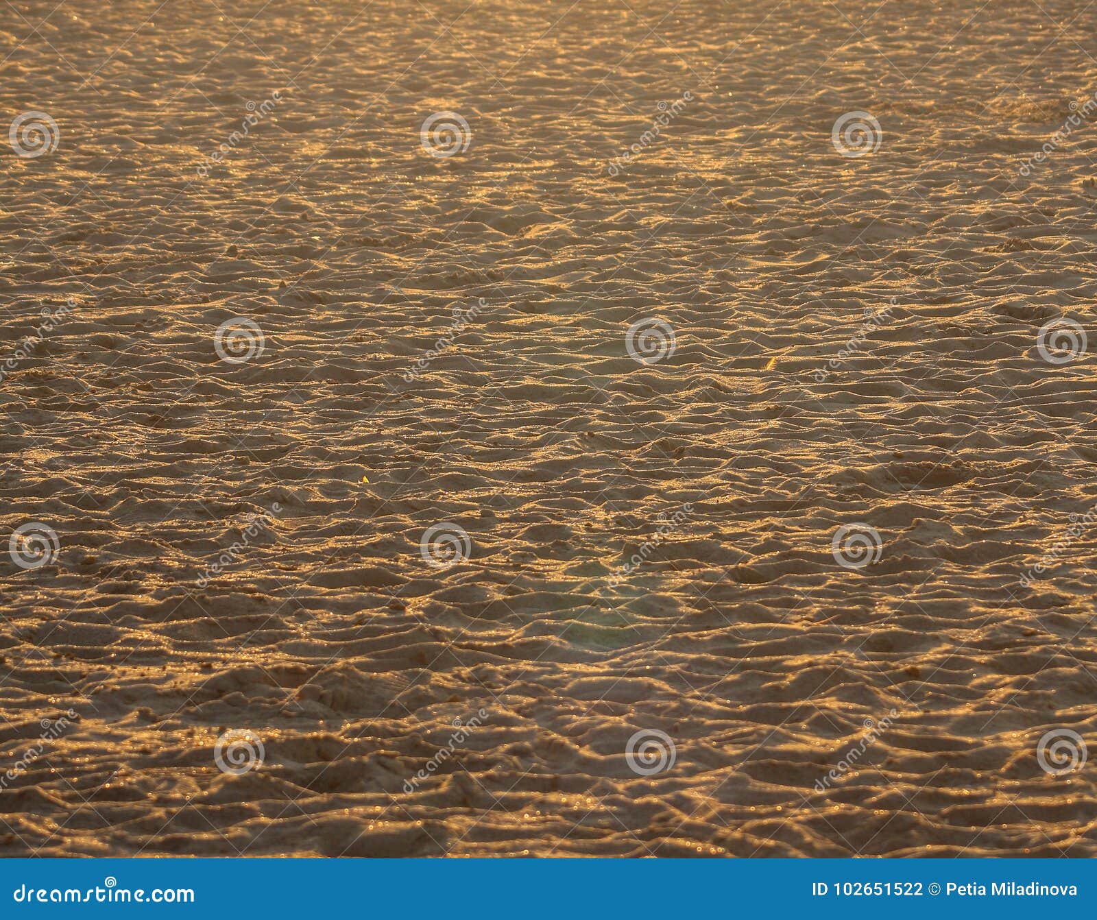 The Sand on the Beach in Ostend, Gilded by the Sunset Stock Photo ...