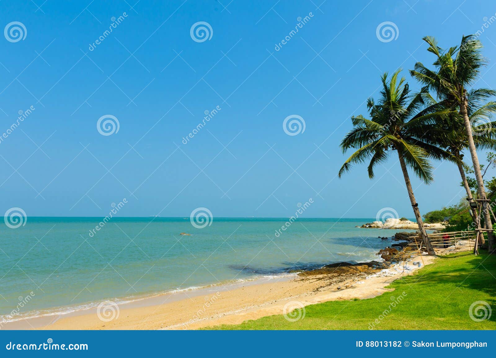 Beach with Palm Tree Leaves Stock Photo - Image of calm, idyllic: 88013182