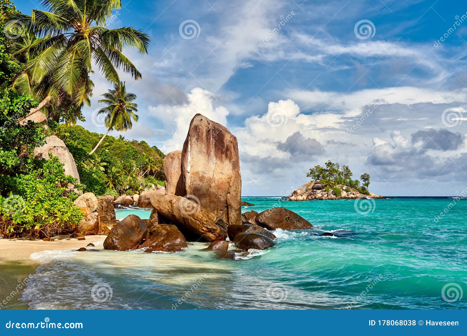 Beach with Palm Tree and Rocks Landscape Stock Photo - Image of surf ...