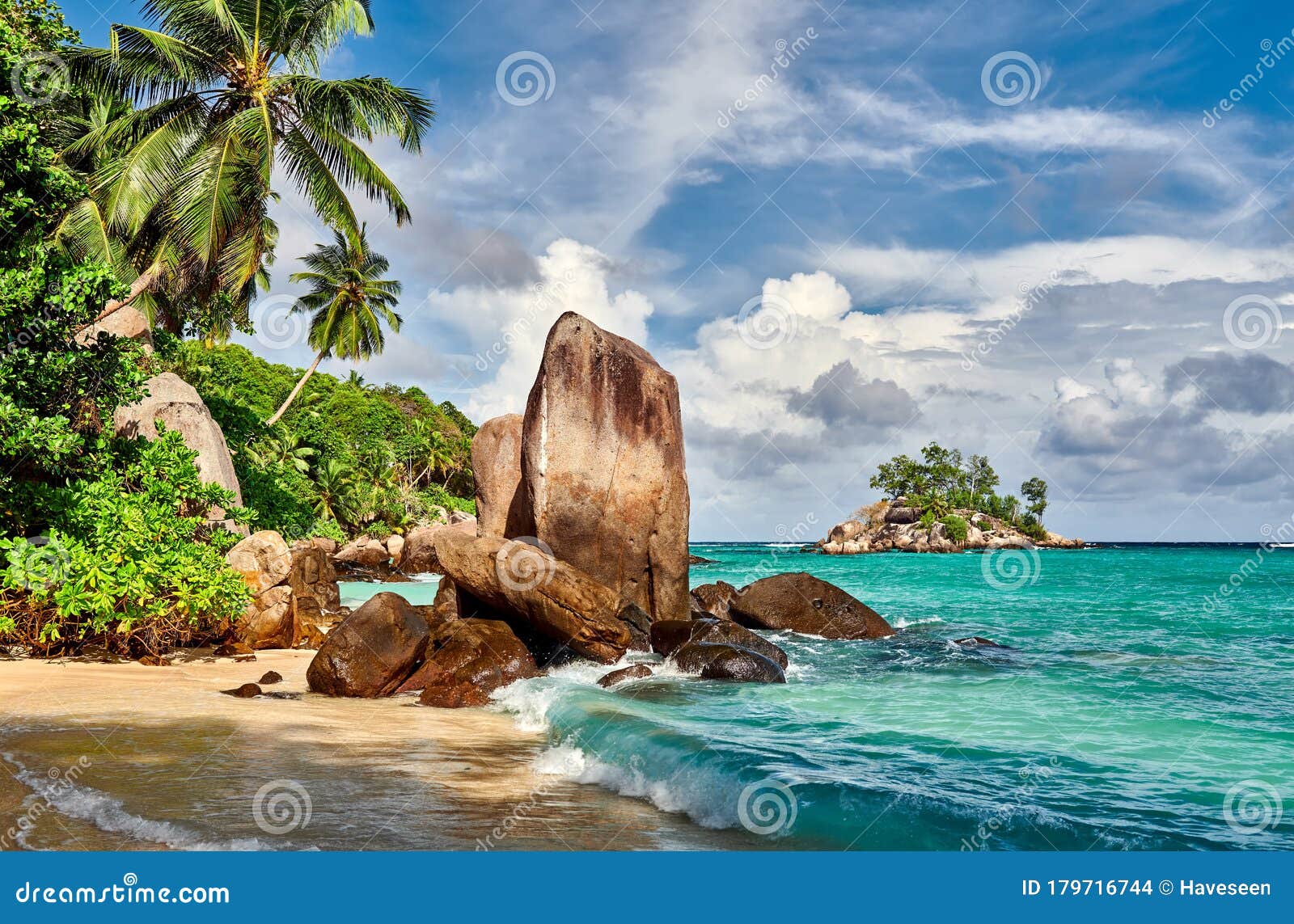 Beach with Palm Tree and Rocks Landscape Stock Photo - Image of palm ...