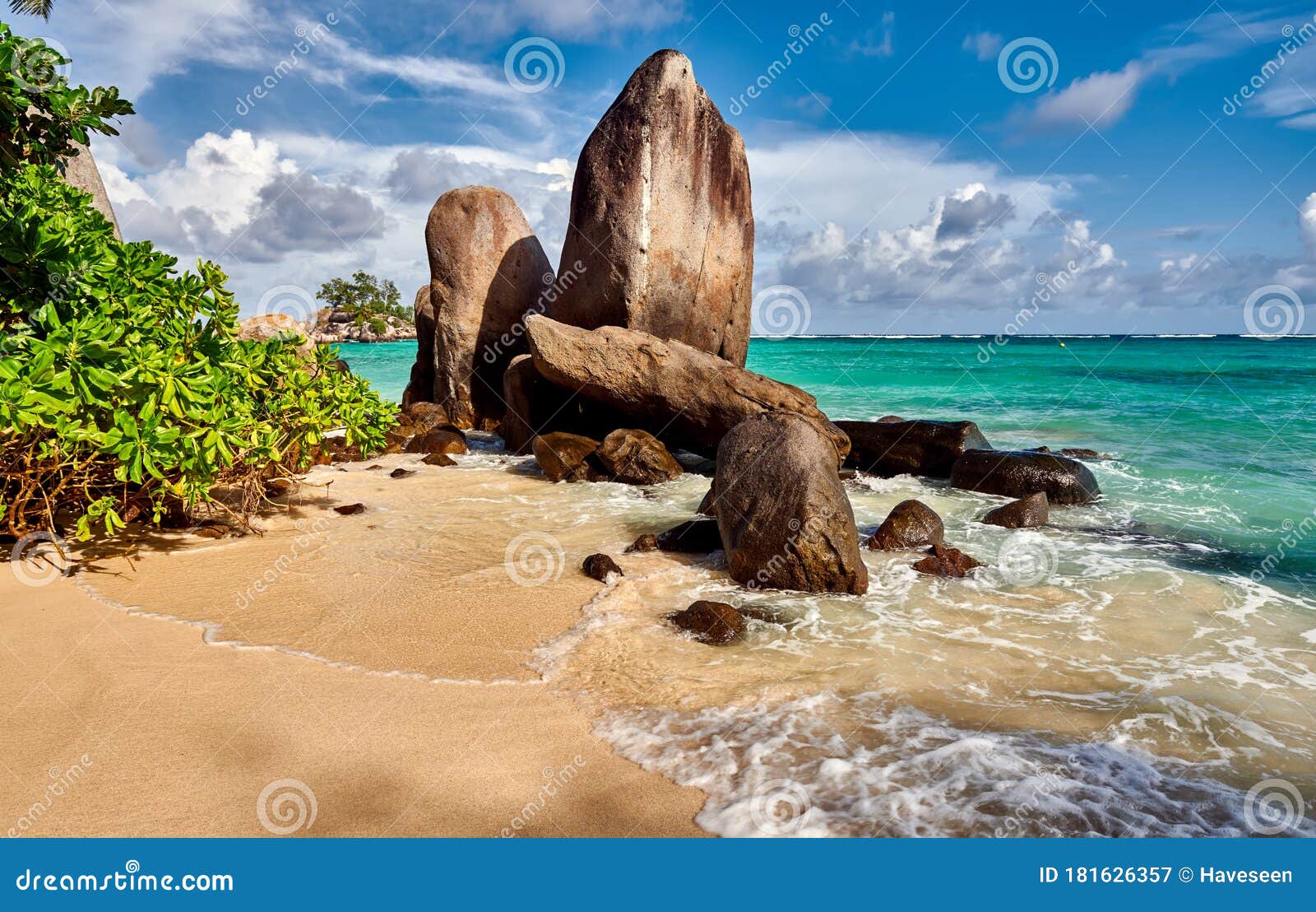 Beach with Palm Tree and Rocks Landscape Stock Image - Image of ...