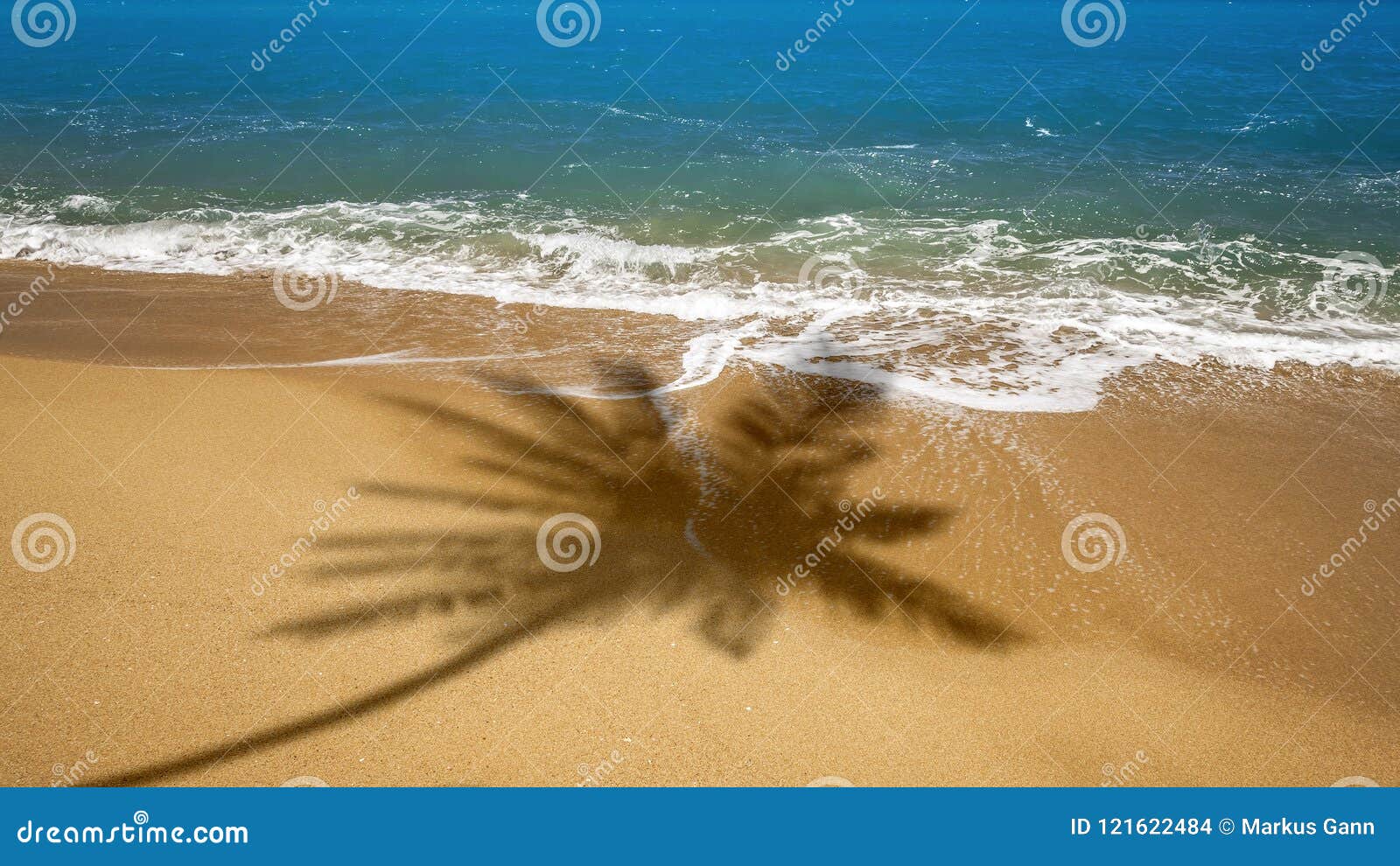 Beach with Palm Tree Shadow Stock Photo - Image of caribbean, sandy ...
